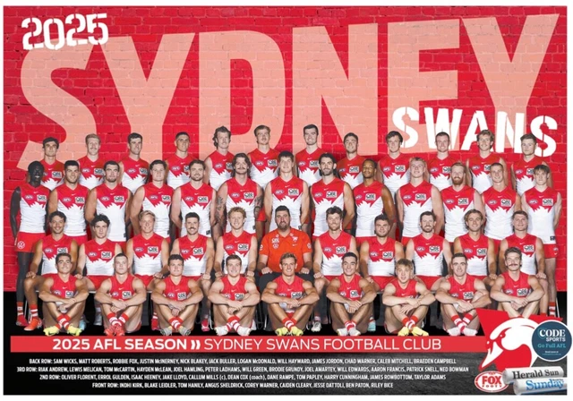 SYDNEY SWANS 2025 AFL FOOTBALL CHAMPION TEAM PLAYER POST, FREE POST ...