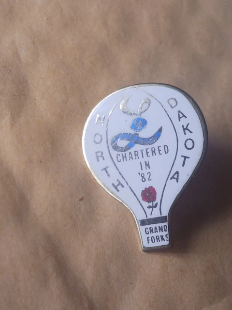 LIONS CLUB VINTAGE Lioness Noerh Dakota Light Bulb Shape Brooch Pin £18 ...