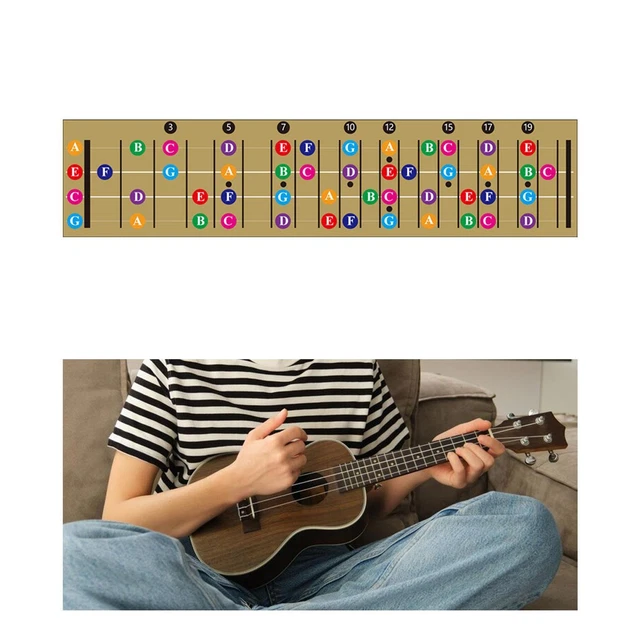 UKULELE FRETBOARD NOTE Chart Ukulele Finger Guide for Exercise Daily ...
