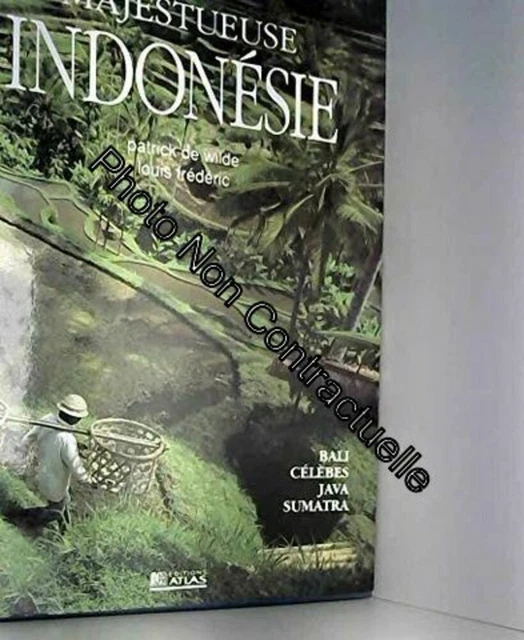 L'INDONÉSIE | FRÉDÉRIC Louis Wilde Patrick de | Très bon état EUR 11,00 ...
