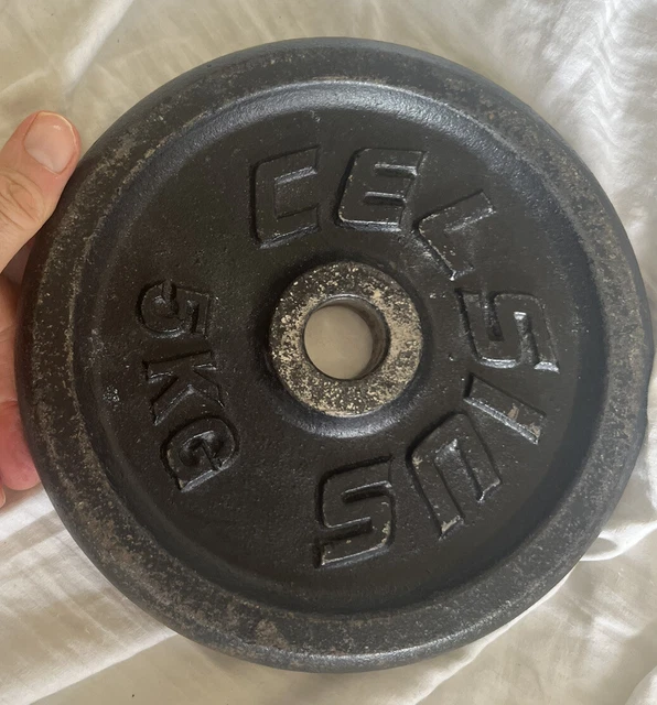 CELSIUS 5KG WEIGHT Plate, Indoor Use only during covid lockdown $12.00 ...