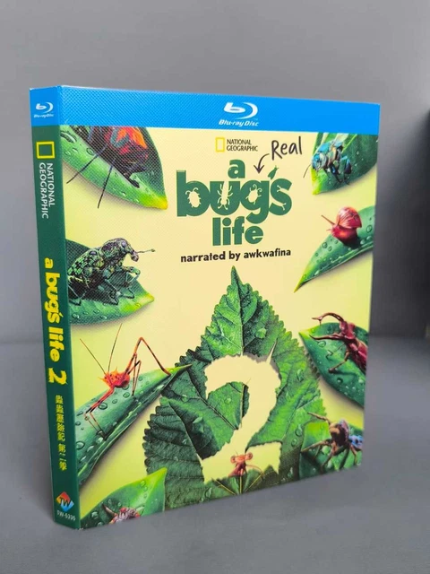 A REAL BUG'S Life Season 2 (2025) 1-Disc New Box Set Sealed £14.50 ...