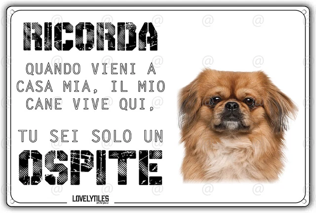 CARTELLO CANE PECHINESE IL MIO CANE VIVE QUI TU SEI SOLO UN OSPITE EUR ...