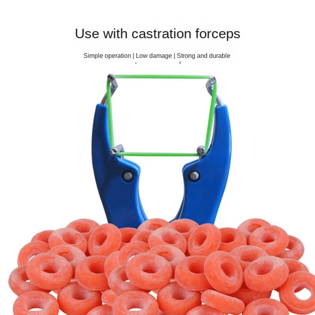 FARM ANIMAL CASTRATION Pliers Rubber Ring Castration Device £5.63 ...