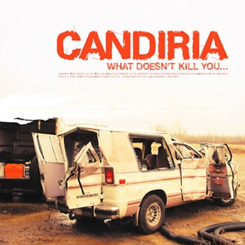 WHAT DOESN'T KILL You Will Make You Stronger by Candiria $65.23 ...