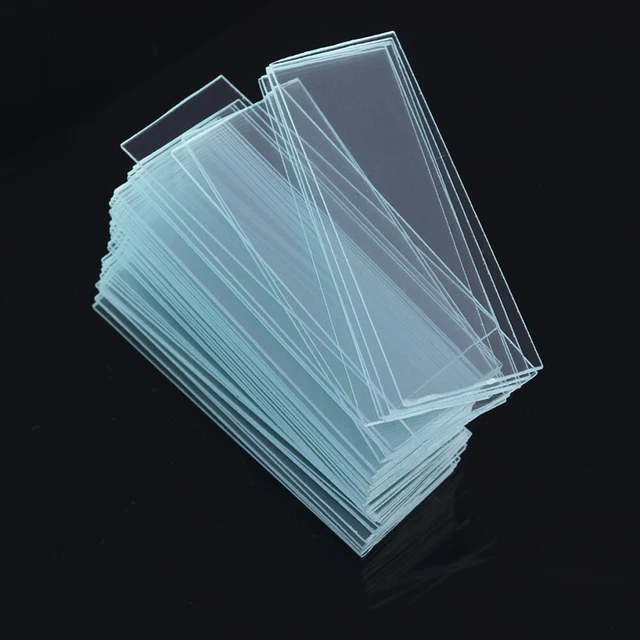 300 PCS LAMELLE De Microscope Lames Laboratoire Pour Accessoires ...
