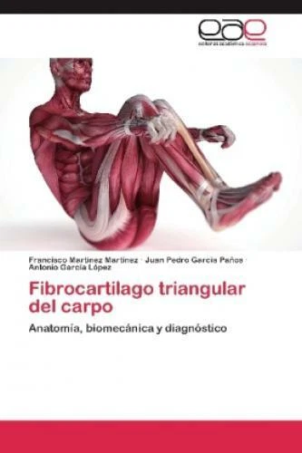 FIBROCARTILAGO TRIANGULAR DEL carpo Anatomía, biomecánica y diagnóstico ...