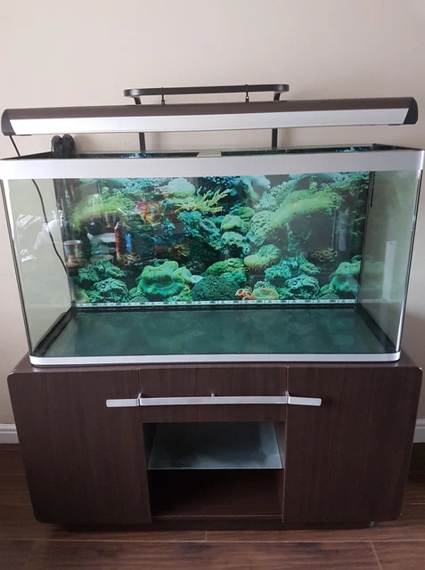 FLUVAL OSAKA 320 Aquarium with Walnut Stand incl 405 filter heaters etc ...