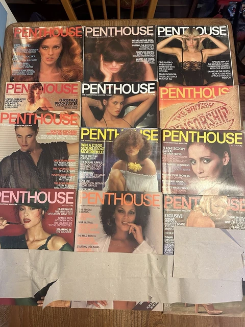 PENTHOUSE MAGAZINE VOL. 13 Complete 12 Issues 1978/1979 Job Lot Free UK Shipping £69.99 ...