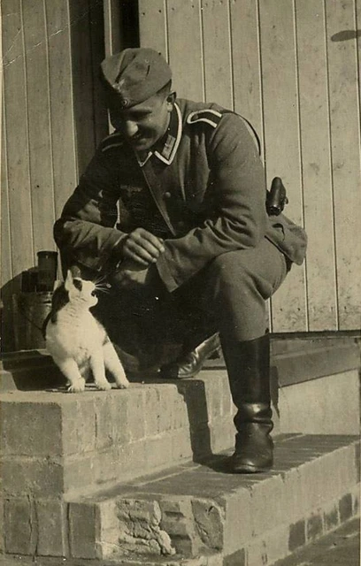 WW2 PHOTO WWII German Soldier with Angry Cat World War Two Wehrmacht ...