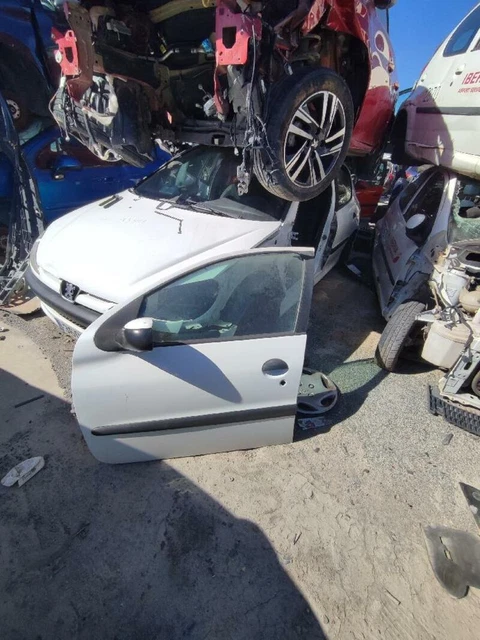 SIN REF PUERTA delantera izquierda para PEUGEOT 206 CC 2002 405175 EUR ...