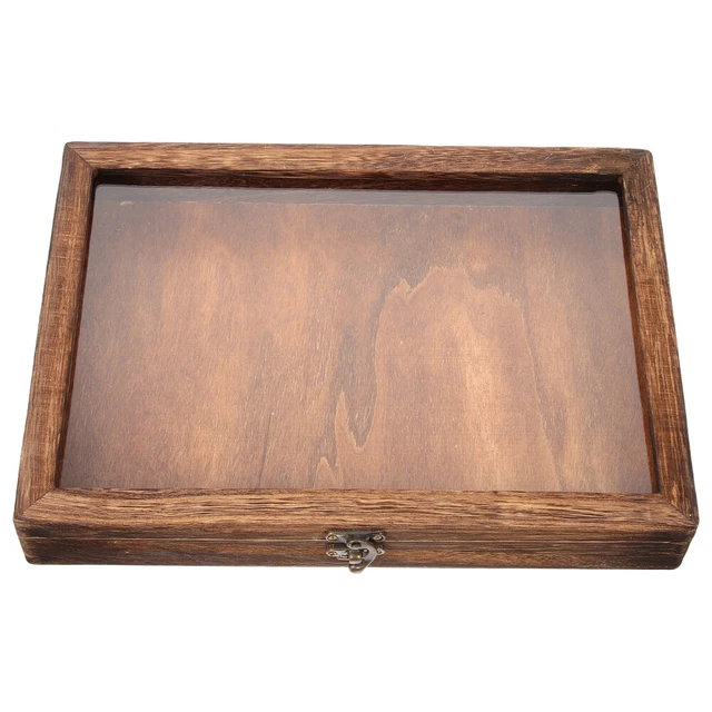 CAS DE SPÉCIMEN D'insecte Vitrine Vintage Kit Porte-échantillon EUR 30 ...