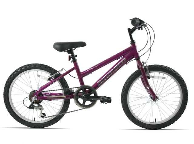 AMMACO ETERNITY 18 Inch Wheel Girls Kids Mountain Bike Purple Age 6+ £219.99 - PicClick UK