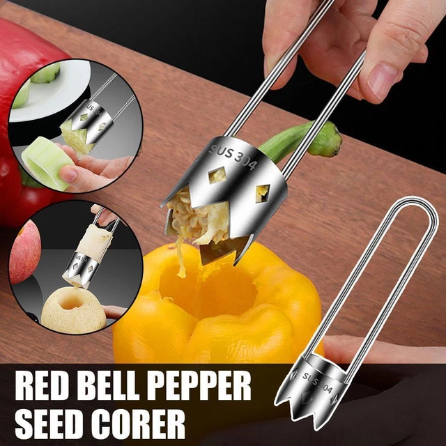 FRUIT CORER TOOL, Fruit and Vegetable Corer Tool, Corer V3Y9 £5.52 ...
