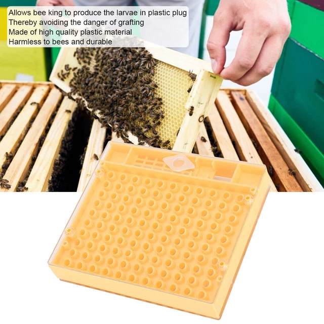 ANDRAW BOÎTE 'ÉLEVAGE Inoffensive En Plastique Boîte 'élevage De Roi ...