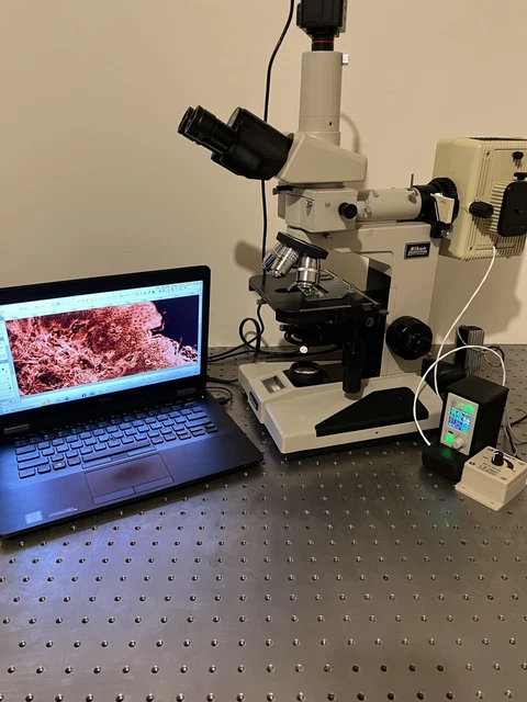Fluorescence Imaging