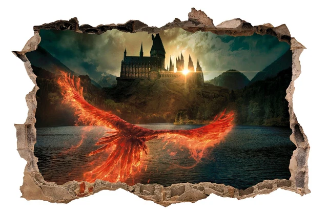 HOGWARTS CASTLE HARRY Potter Phoenix Wizard Hole in the Wall Art ...