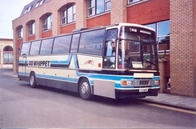 BUS PHOTO C43NEW Whippet, Fenstanton DAF Plaxton Paramount 3500 ...