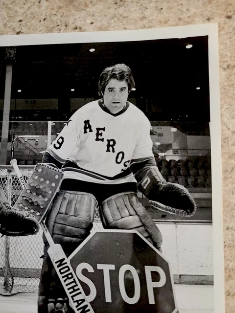 WHA HOUSTON AEROS Hockey Goalie Photo Texas 1974 Ron Grahame Wayne ...