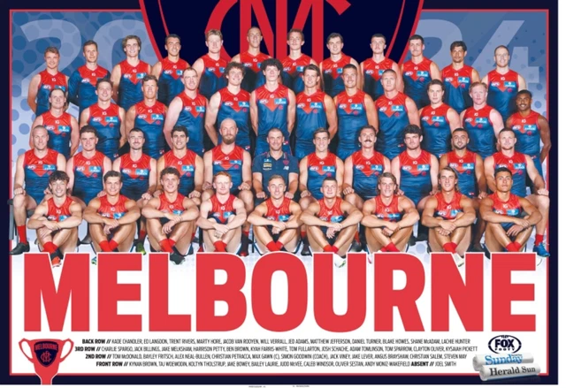 MELBOURNE DEMONS 2024 AFL FOOTBALL TEAM PLAYER POSTER,BIG 420mm ...