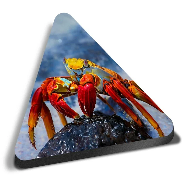 TRIANGLE MDF MAGNETS - Rainbow Crab Seaside Beach #14498 EUR 7,08 ...