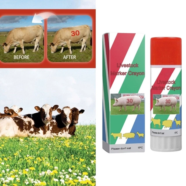 LIVESTOCK MARKER CRAYON Livestock Drawing Pen Livestock Marking ...
