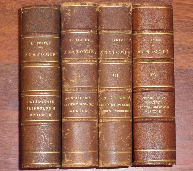 TESTUT TRAITE D'ANATOMIE HUMAINE 1928 complet 5 tomes reliés GRAVURES ...
