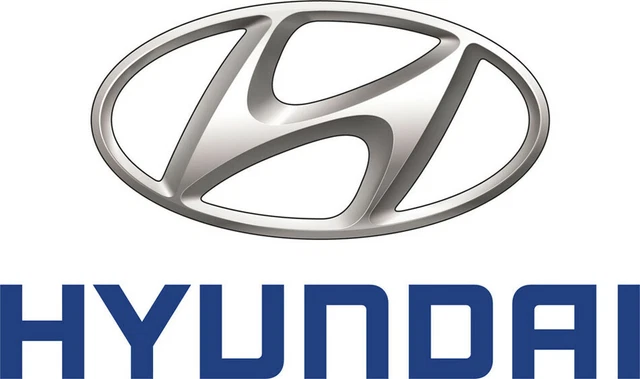 HYUNDAI OEM 20-22 Palisade Rear Door Exterior Trim-Body Side Mldg ...