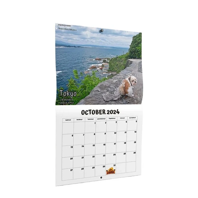 2024 CALENDAR WALL Calendar January 2024 From December 11x8.5 Inch Wall ...
