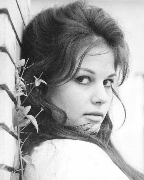 ITALIAN ACTRESS CLAUDIA Cardinale circa 1960 Historic Old Photo $9.00 ...