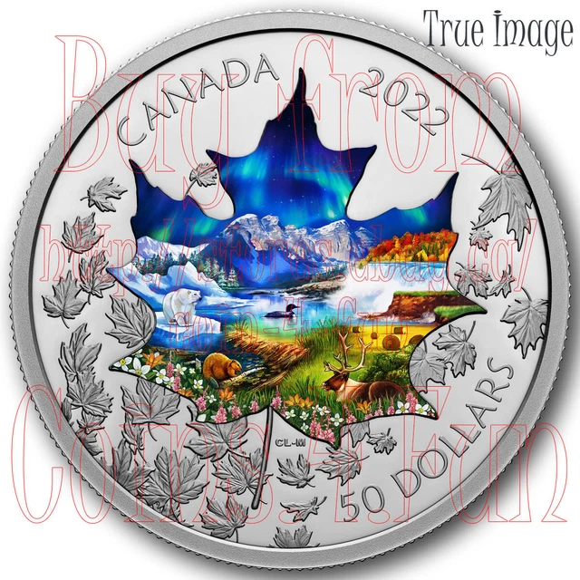 2022 - CANADIAN Collage - $50 3 OZ Pure Silver Proof Coin - Canada $368 ...