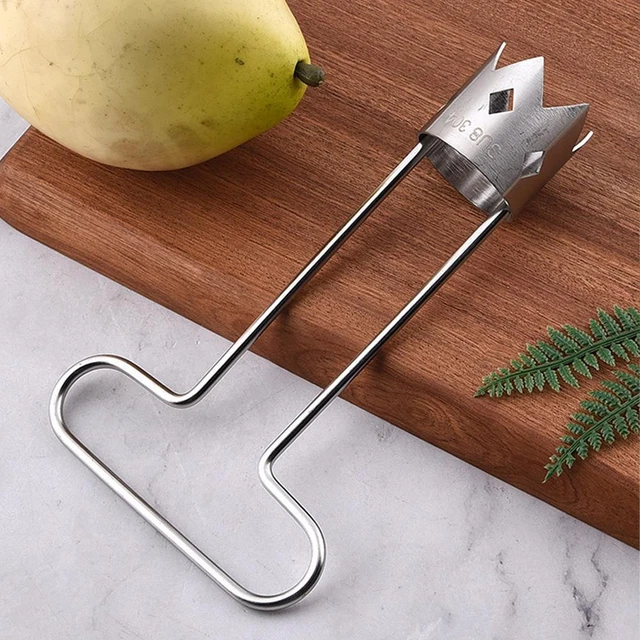 FRUIT CORE EXTRACTOR' 304 Stainless Steel 304 Kitchen Tool' B7A6 £4.94 ...