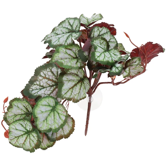 PIANTE PIANTE FALSE Per Rettili Pianta Rettile Pianta Rettile Terrario ...