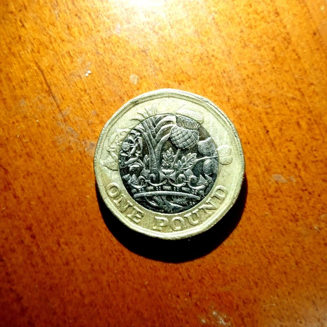 SUPERBE PIECE RARE One Pound Elizabeth 2 2016 EUR 2.500,00 - PicClick FR