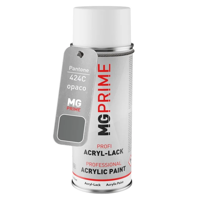 PANTONE 424C GREY Bomboletta spray 400 ml opaco asciugatura rapida EUR ...