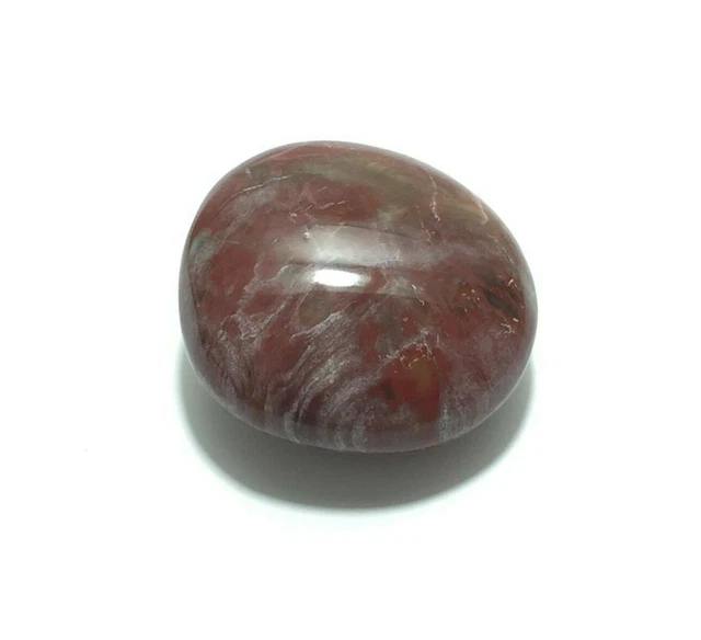 PETRIFIED WOOD PEBBLE 90g Red Podocarpus Fossilized Freeform Stone 52mm ...