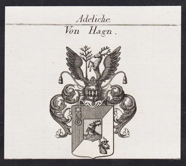 HAGN COAT OF Arms Héraldique Genealogie Gravure sur Cuivre 1820 EUR 14 ...