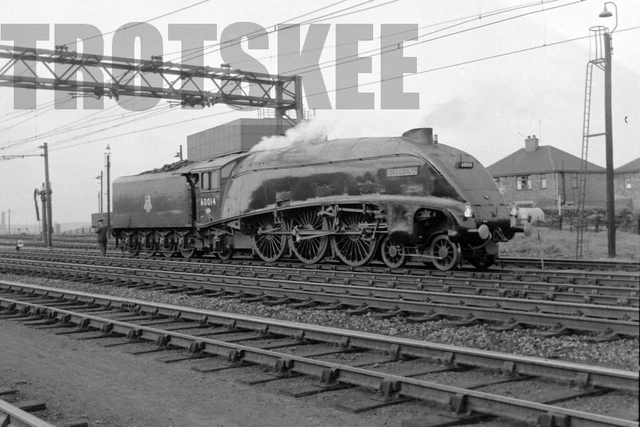 LARGER NEGATIVE BR British Railways Steam Loco 60014 Class A4 ...