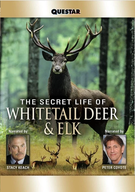 THE SECRET LIFE of Whitetail Deer and Elk (DVD) Peter Coyote (US IMPORT) £22.58 - PicClick UK
