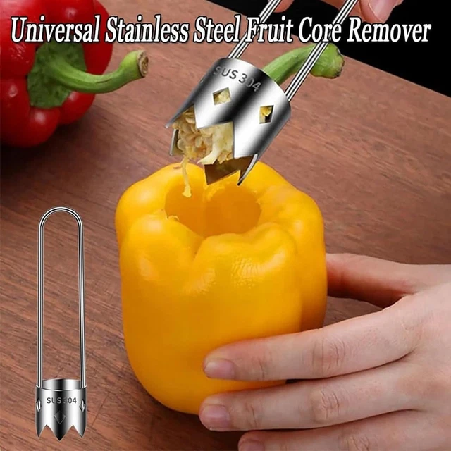 STAINLESS STEEL CORER to Remove Pear Cores, Fruit Cores, Vegetable ...