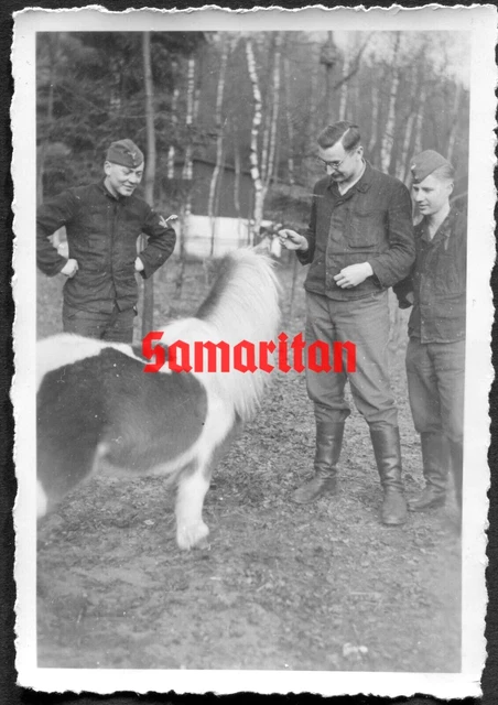 I2/10 WW2 ORIGINAL Photo Of German Wehrmacht Soldier Feeds A Pony £2.99 ...