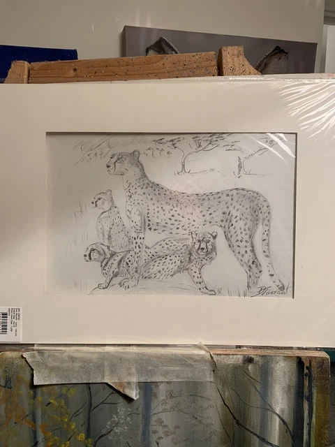 ORIGINAL DRAWING CHEETAH Family artist David Tarrant In a Mount £160.00 ...
