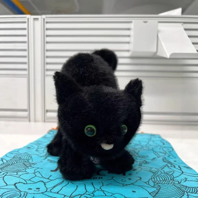 JELLYCAT HALLOWEEN SPOOKIPAWS Cat: 2025 20CM Soft Toy BNWT W/ Dust Bags ...