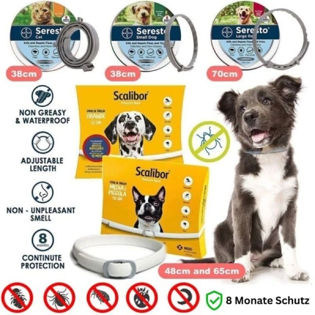 COLLIER ANTI-INSECTES-PUCES ET tiques 8 mois protection pour Chiens et ...