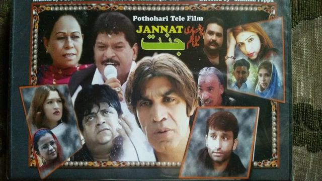 PAKISTANI COMEDY DRAMA Hindi Jannat pothwari punjab film dvd video ...