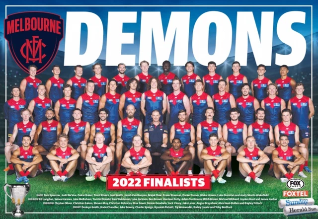 MELBOURNE DEMONS TEAM poster, AFL football, big 420mmx300mm, FREE POST ...