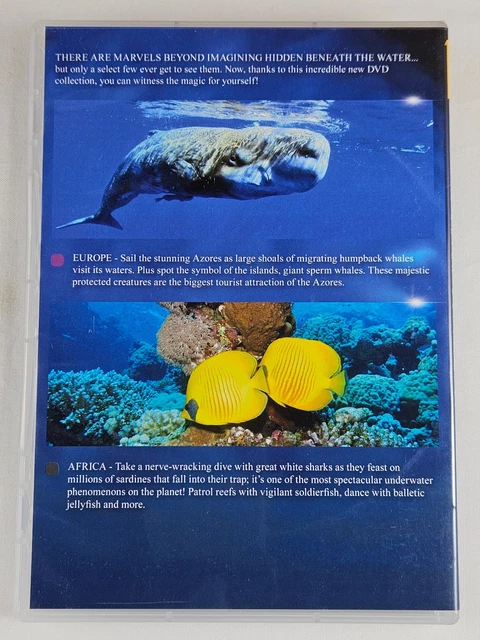 THE MAGIC OF The Big Blue Seven Continents Part 2 DVD - Region 4 - VGC ...
