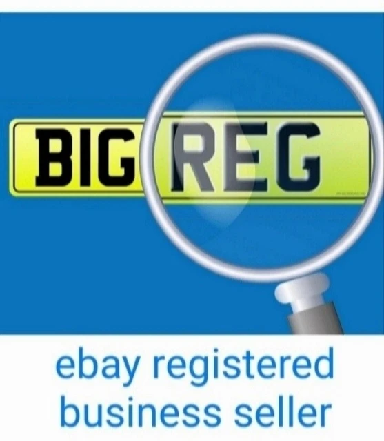 RORY O ROR Ror Rry Rawry Roar Registrazione Privata Targa Auto Ro22 Yoo ...