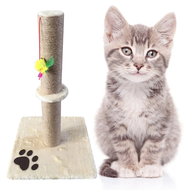 BAMBOO WOODEN CAT Scratch Post Climbing Scratching Play Mat £40.45 ...