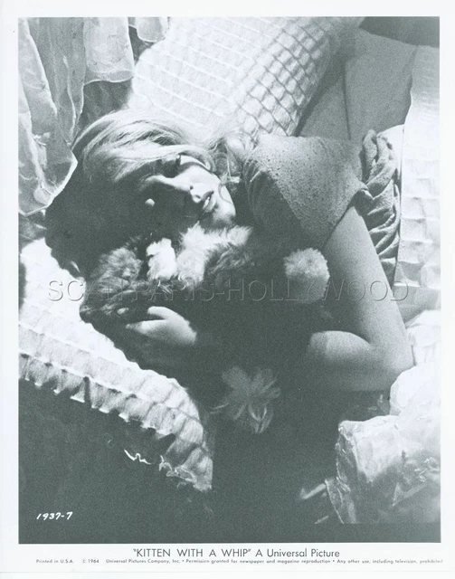 1964 Ann Margret Kitten With A Whip Original Photo 28 £34 76 Picclick Uk